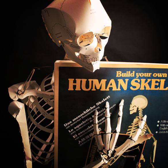 Build Your Own Life Size Human Skeleton Book Build Your Own Life Size Human Skeleton Book
