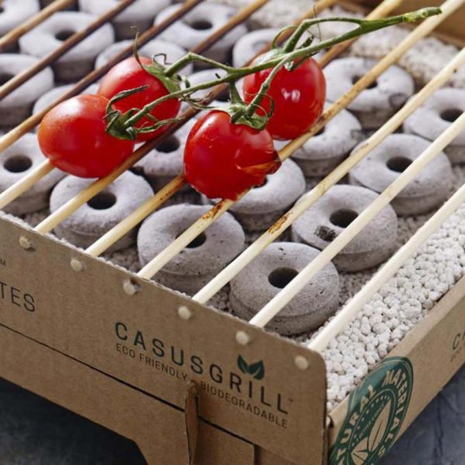 Biodegradable Instant BBQ - GeekAlerts