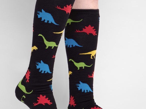 Dinosaur Footprint Socks